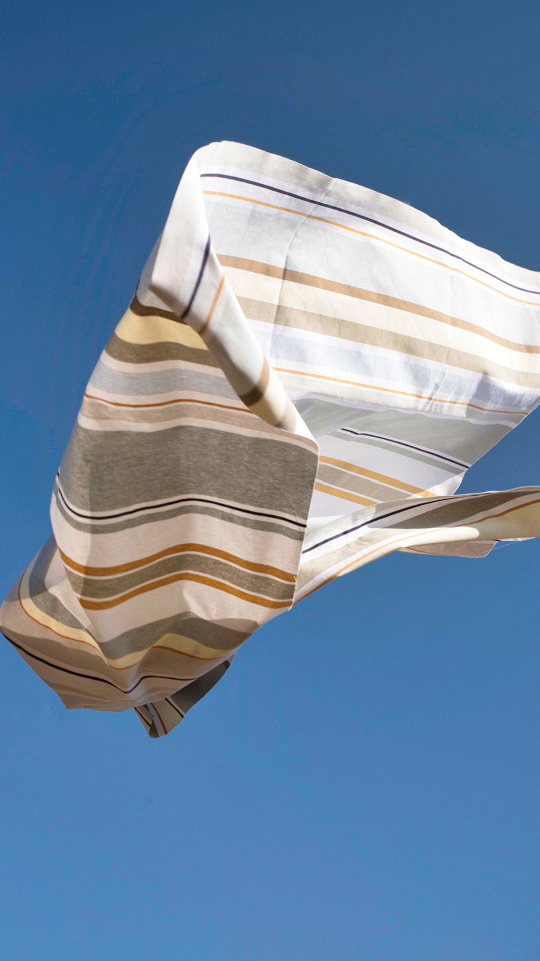 Les Toiles du Soleil